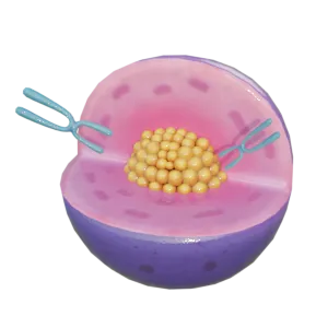 Nucleus - on Assemblr Edu