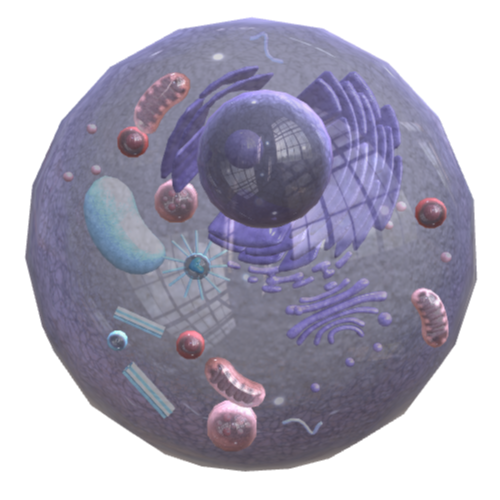 Generic Animal Cell - on Assemblr Edu