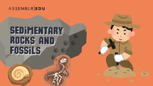 3.2 Sedimentary rocks and fossils - on Assemblr Edu