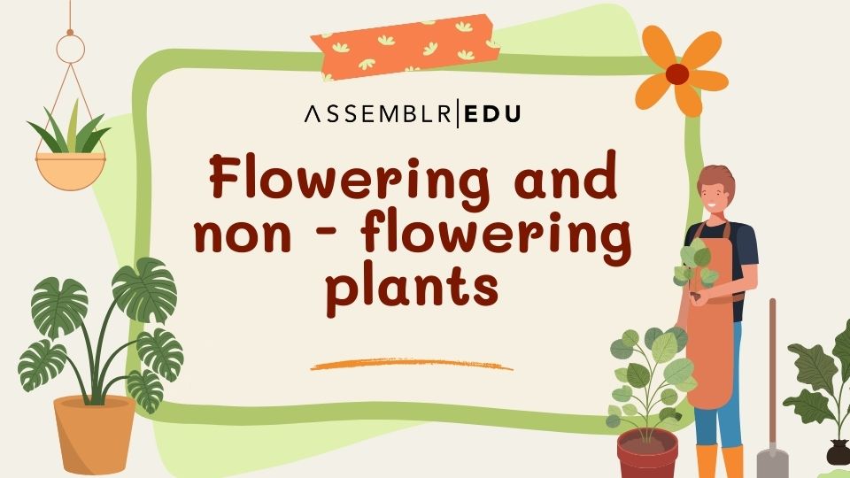 Flowering And Non - Flowering Plants - on Assemblr Edu