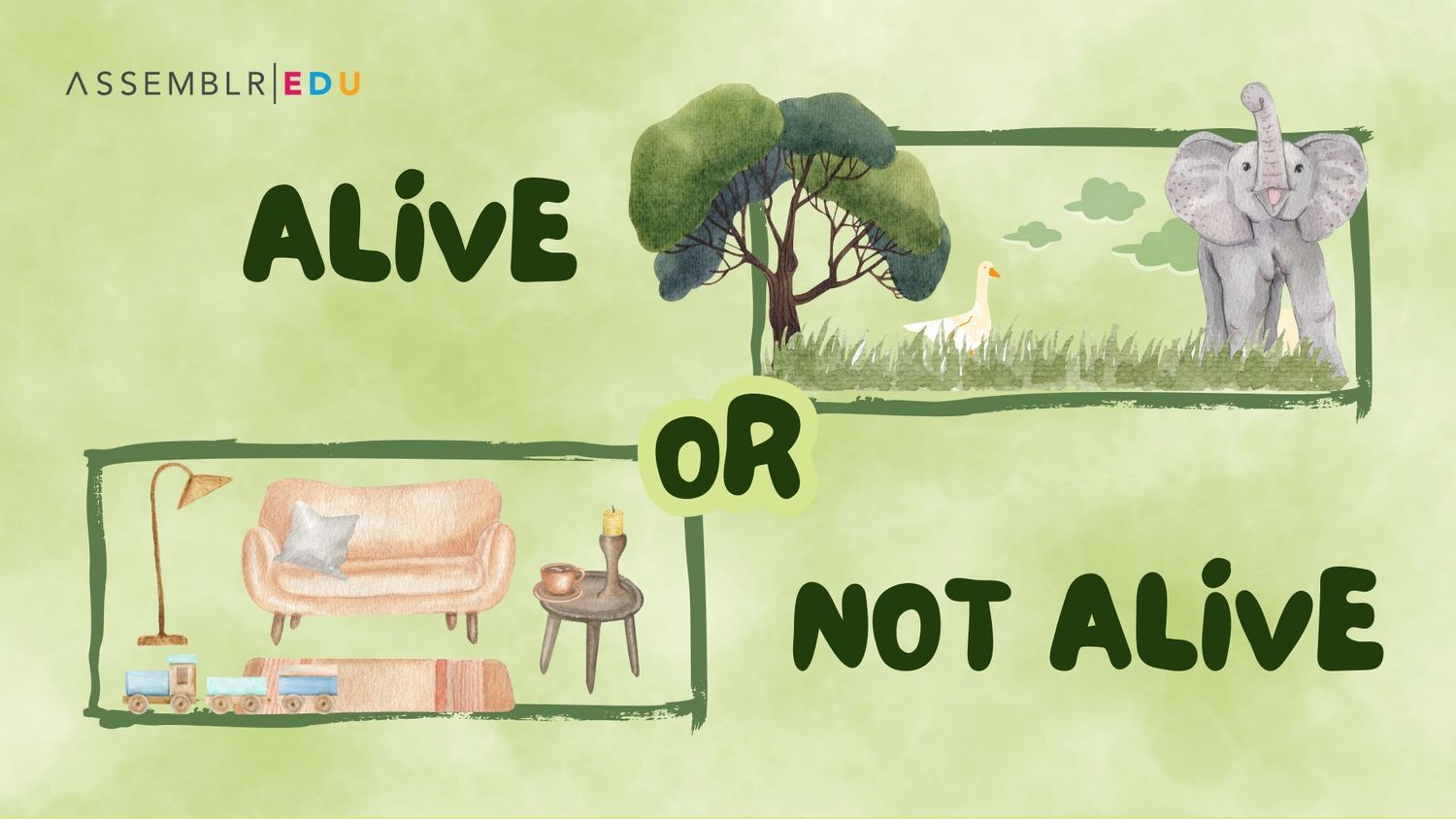 Alive Or Not Alive - on Assemblr Edu