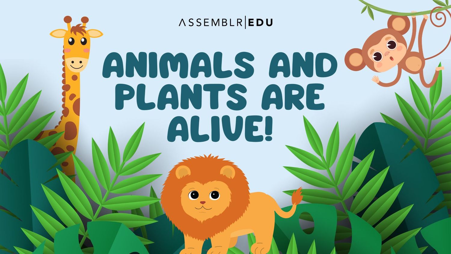 Animals And Plants Are Alive - on Assemblr Edu