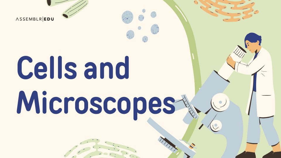 Cells And Microscopes - on Assemblr Edu