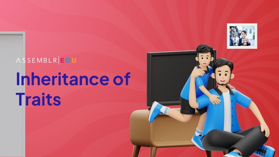 Inheritance Of Traits - on Assemblr Edu