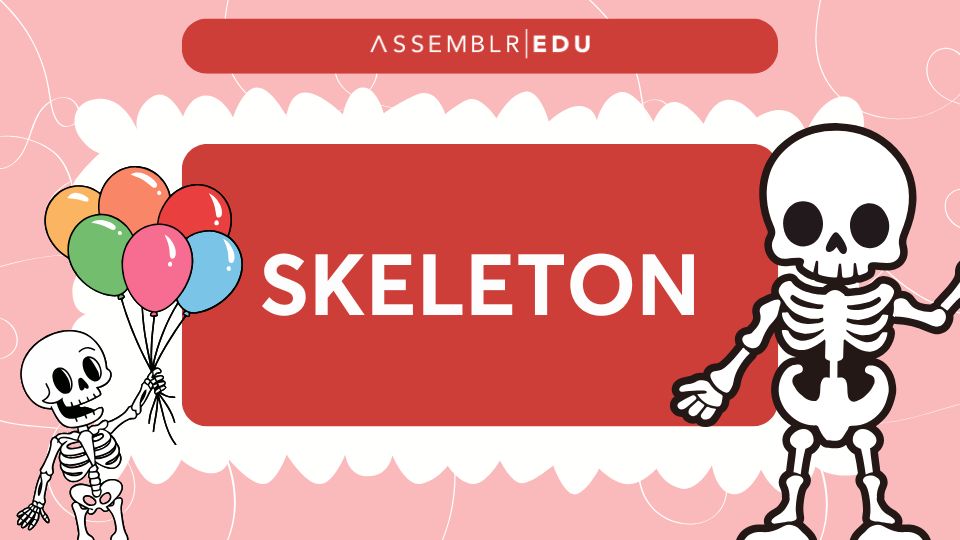 Skeleton - on Assemblr Edu