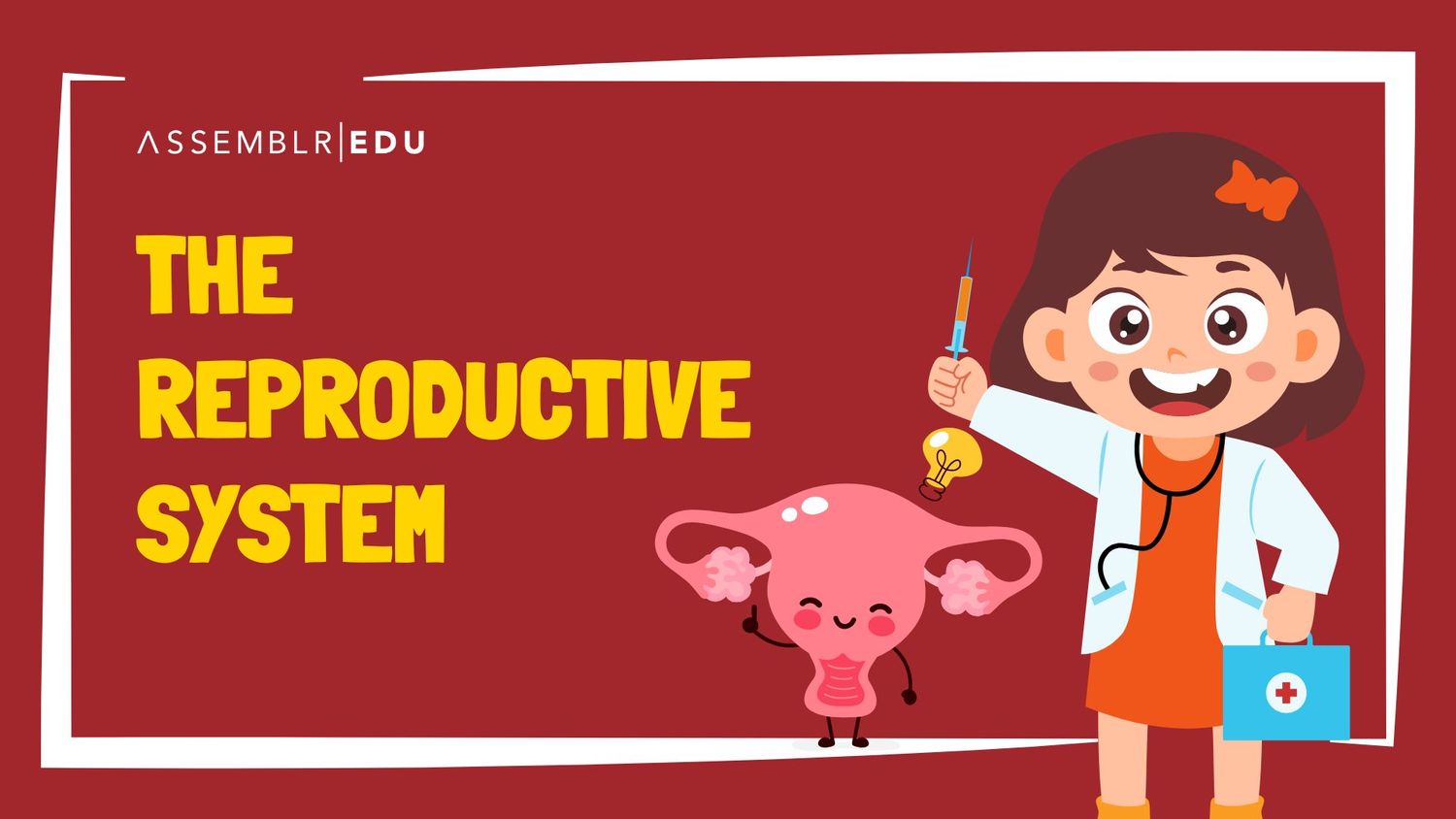 The Reproductive System - on Assemblr Edu