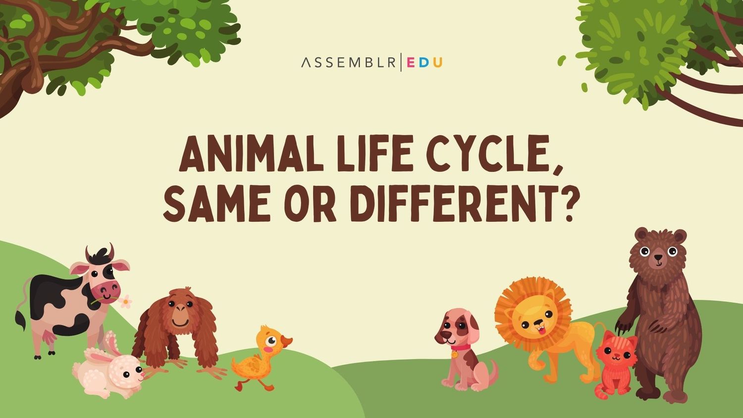 Animal Life Cycle, Same Or Different? - on Assemblr Edu