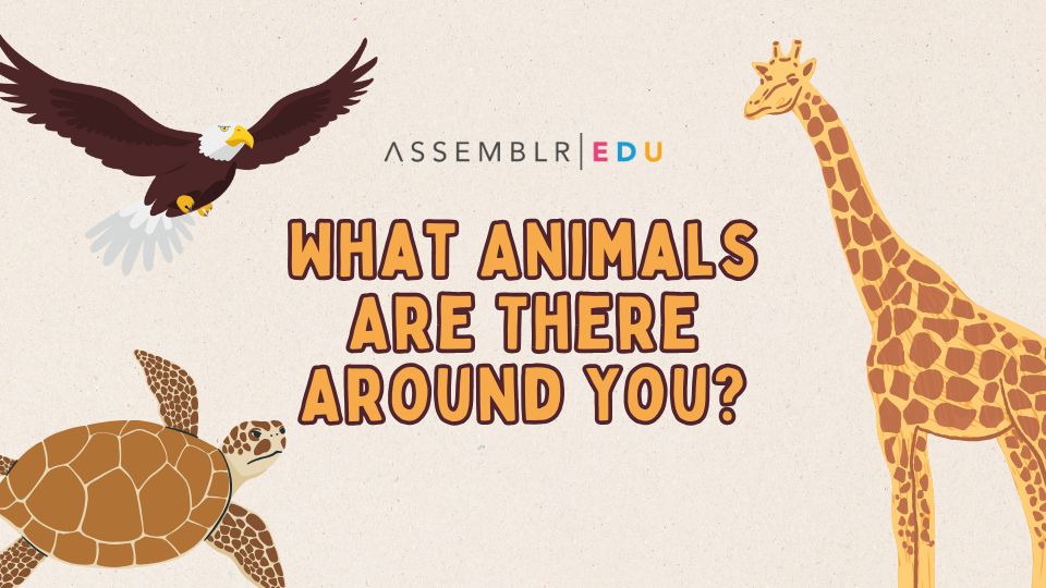 What Animals Are There Around You? - on Assemblr Edu
